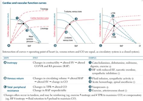 Test Flashcards Quizlet