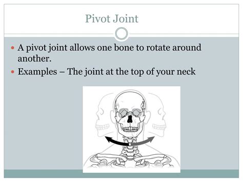 Ppt Skeletal System Powerpoint Presentation Free Download Id 2668031