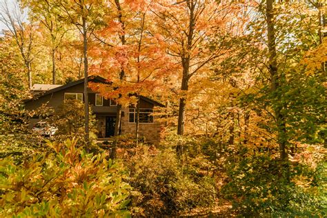 10월 가을 가을 색 가을 풍경 경치 경치가 좋은 계절 계절의 변화 계절의 아름다움 고요한 나무 나무 위의 집 나뭇잎 노란 잎 농촌의 다채로운