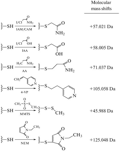 Modifications Of Cysteine Residues With Alkylating Agents Used In