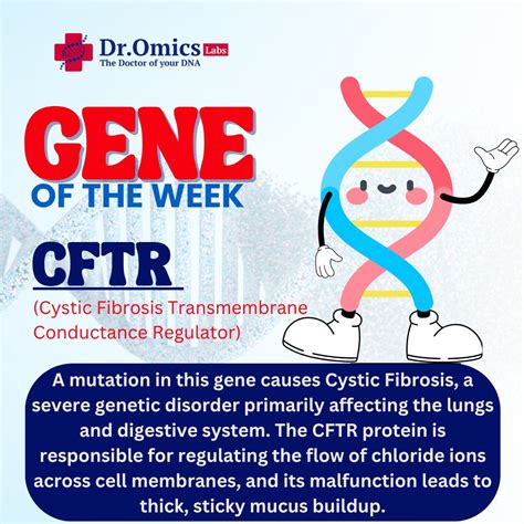 Cftr The Gene Behind Cystic Fibrosis Dromics Labs Private Limited