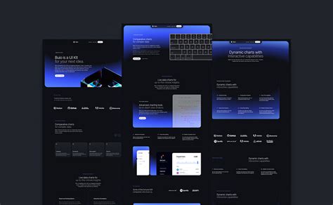 Buio ⏤ Saas Multipage Theme By Michael Andreuzza On Dribbble