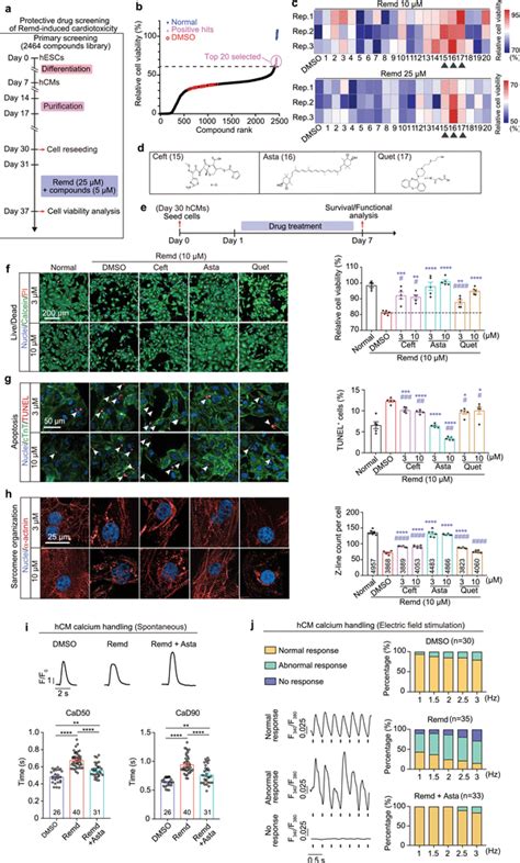 High‐throughput Chemical Screening Identifies Fda‐approved Drug Download Scientific Diagram
