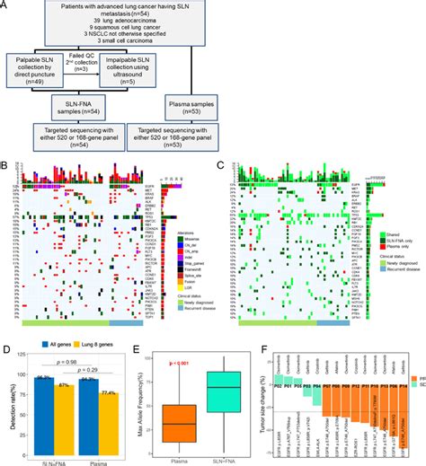 Feasibility And Clinical Utility Of Sln‐fna Suspended In 10 Nbf As A