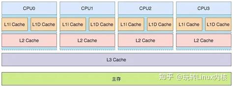 高效利用cpu缓存一致性：优化技巧与策略分析 知乎
