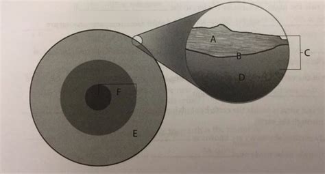 Chapter 4 Diagram Diagram Quizlet