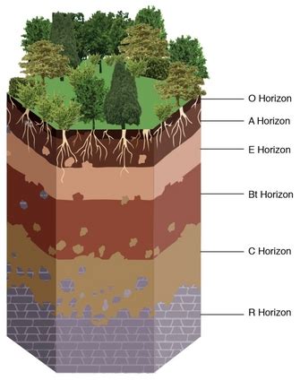 Type C Soil Is The Least Stable Soil