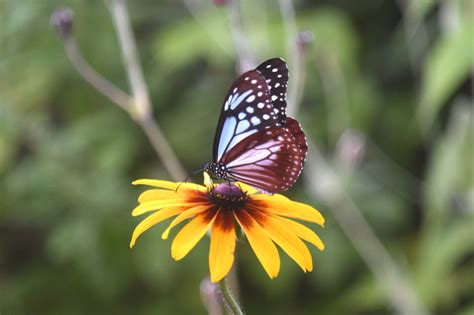 202472岩国市自宅