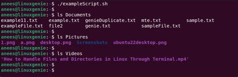 bash globbing explained with real life use cases linux genie