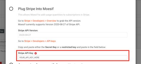 Integrating With Stripe Moesif Docs
