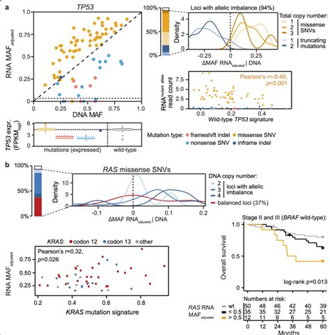 Tp53 And Ras Mutant Allele Expression Levels Correlate With Downstream Download Scientific