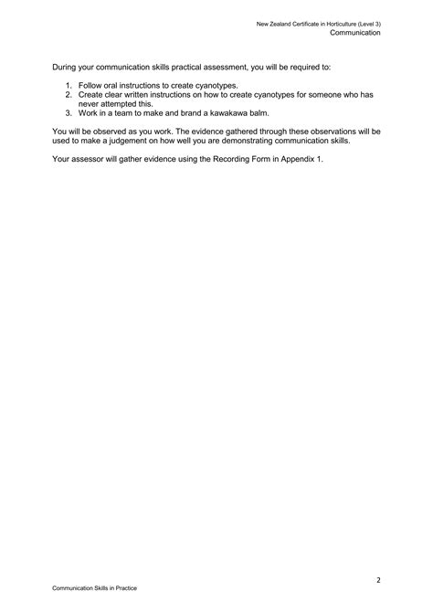 Communication Practical Assessment Pdf