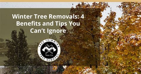 Benefits And Tips Regarding Winter Tree Removals Utah Tree