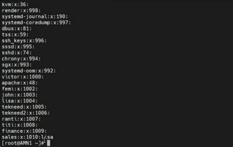 How To Create Groups In Linux Adding Users To Groups 1