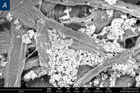 How Does Coating Thickness Affect Sem Imaging Nanoscience Instruments