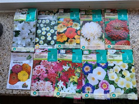 Нэг наст гадна талбайн цэцгийн Удвалын цэцгийн дэлгүүр Facebook