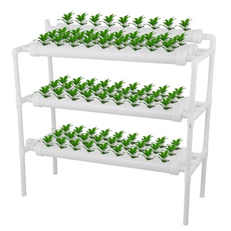 Growing Hydroponics In Pvc Pipe At Kathleen Blum Blog