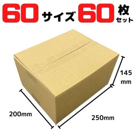 ダンボール 段ボール 60サイズ 60枚セット 宅配 みかん箱 引っ越し 梱包 外寸：250×200×145mm 国産品 L1 【d60