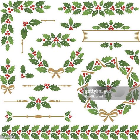 Holly High Res Vector Graphic Getty Images