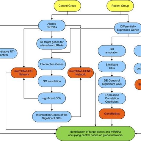 Schematic Depiction Of The Experimental Design And Flowchart Of The Download Scientific Diagram