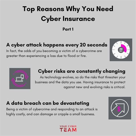 Staycybersafe Yourcyberteam Techie Gurus Llc Your Cyber Team