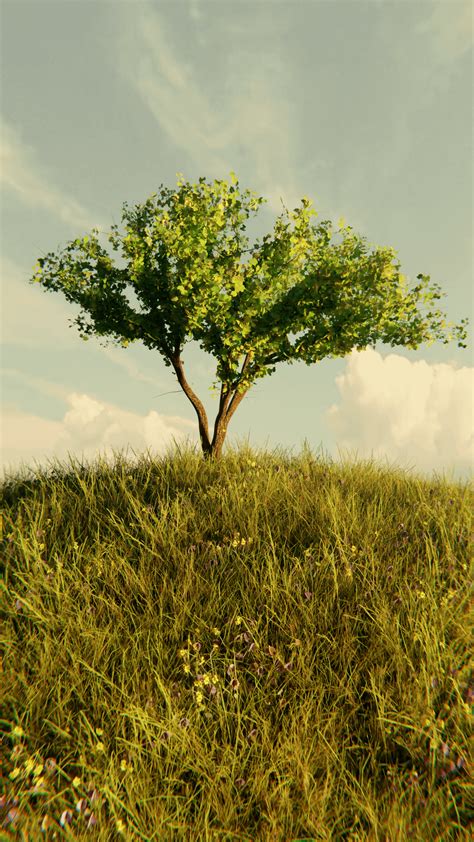 Tree Render That I Making For A Phone Background 3 Renders Rblender