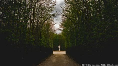 Pandas 中 Axis 参数的理解（附实例） 晚花行乐