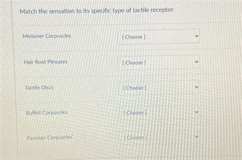 Solved Match The Sensation To Its Specific Type Of Tactile