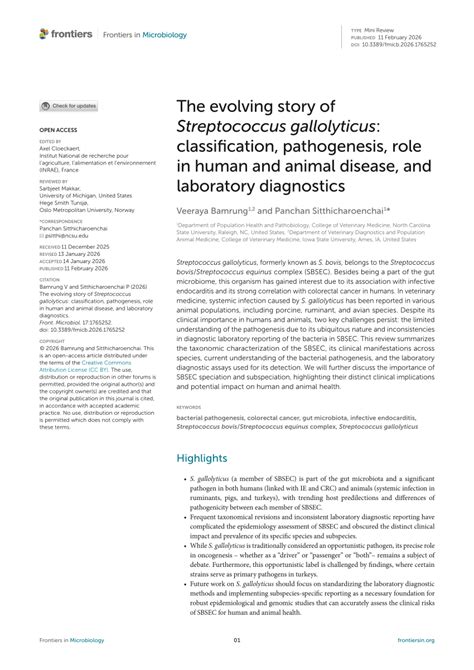 Pdf The Evolving Story Of Streptococcus Gallolyticus Classification Pathogenesis Role In