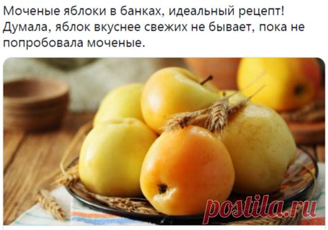 Protlcnet в Твиттере «Моченые яблоки в банках идеальный рецепт Думала я заготовки Постила