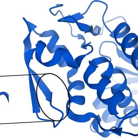 illustration of secondary structure prediction where the 3d structure