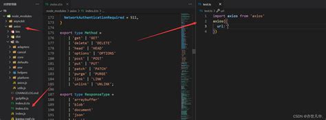 TypeScript类型声明文件的讲解与使用 ts文件 CSDN博客
