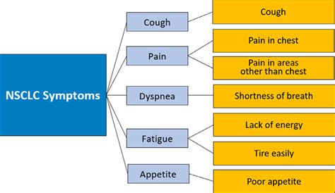 Conceptual Framework For The Non Small Cell Lung Cancer Symptom Download Scientific Diagram