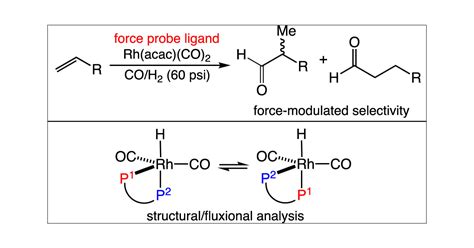 force modulated selectivity of the rhodium catalyzed hydroformylation