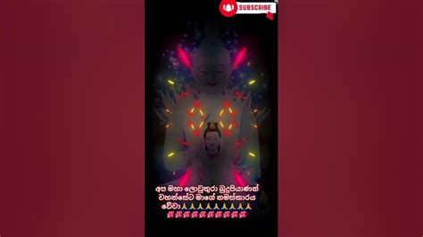 අප මහා ලොවුතුරා බුදුපියාණන් වහන්සේට මාගේ නමස්කාරය වේවා🙏🌺 Shortvideo Youtube