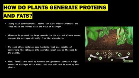 Ppt For Cbse Class 7 Scince Subject Unit 1 Cbse Class 7 Unit 1 Science Pdf