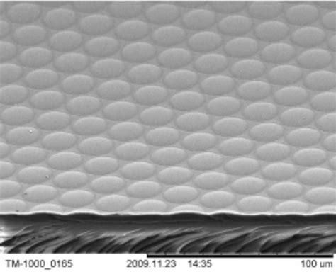 Sem Image Of Replicated Polymer Microlens Array With 20 M Diameter