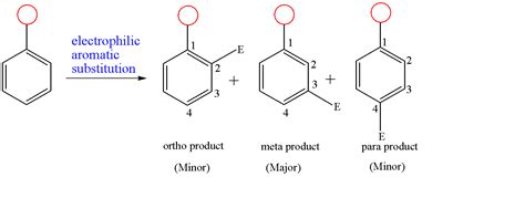 What Is A Meta Director