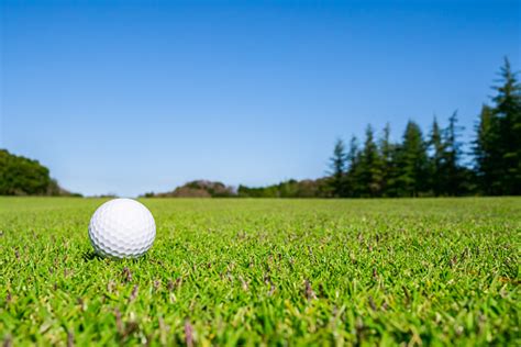 골프는 페어 웨이 그린에 잔디는 아름 다운 고 골프 공 과정 골프는 잔디에 재생 할 수 있는 스포츠 골프에 대한 스톡 사진 및