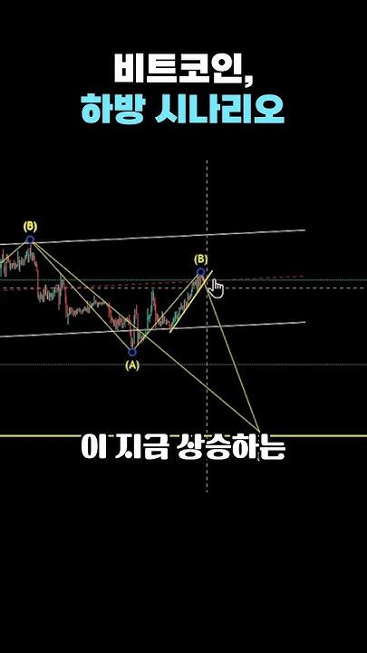 비트코인 유연한 관점 변경을 기반으로 대응한 결과는 좋았네요 1 Youtube