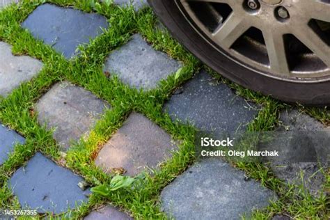인도 잔디와 콘크리트 자동차 주차나 보행자를 위한 길과 같이 잘린 잔디로 포장 거리에 대한 스톡 사진 및 기타 이미지 거리 교통 교통수단 Istock