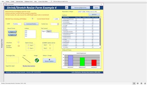 Automatic Form Resizing 4
