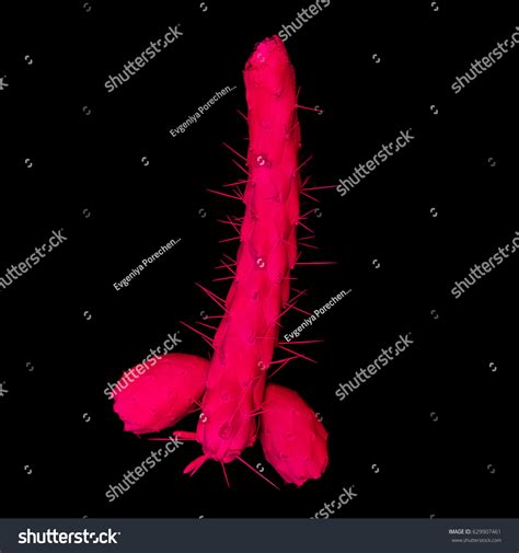 Cactus Sexy Design Mini Fashion Art Stock Photo Shutterstock