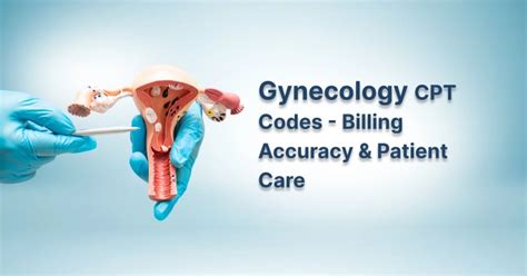 Gynecology CPT Codes Billing Accuracy Patient Care