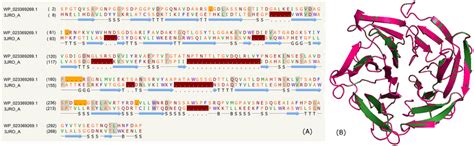 Beta Propeller A Sequence Alignment Of Model Wp0233692691 And