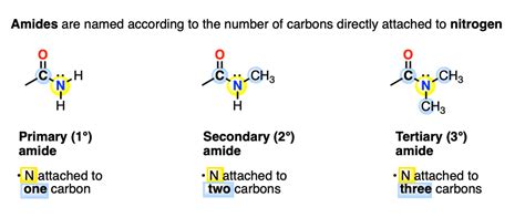Tertiary Amine Double Bond