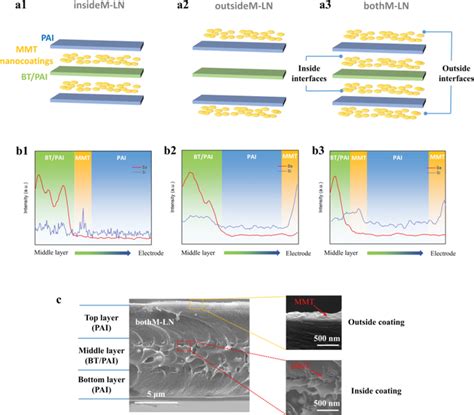 A Schematic Illustrations And B Energy Dispersive X‐ray Analysis