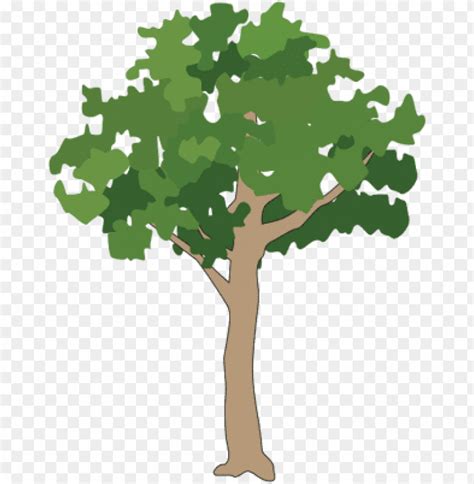 Free Icons Png Rainforest Tree Vector PNG Image With Transparent Background TOPpng
