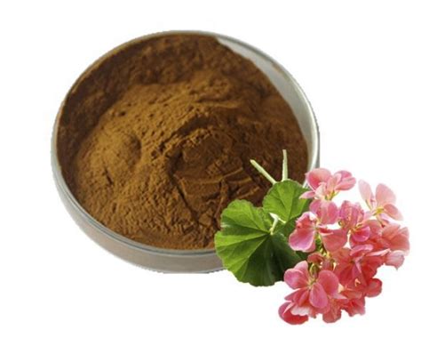 Geranium Extract Manufacturer Undersun