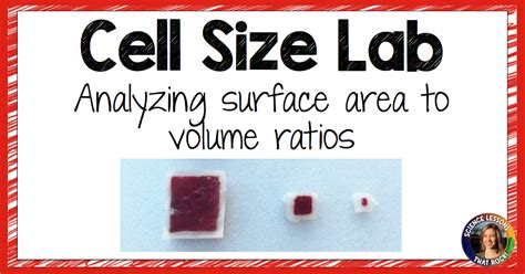 Cell Size And Diffusion Lab Report KenyatinMcclure